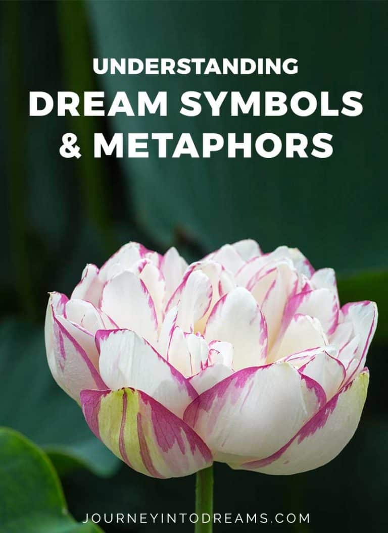 Metaphors and Symbols in Dreams