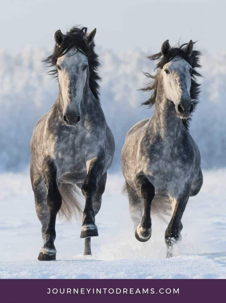Horse Dream Meaning And Spirit Animal horse-dream-meaning-and-spirit-animal