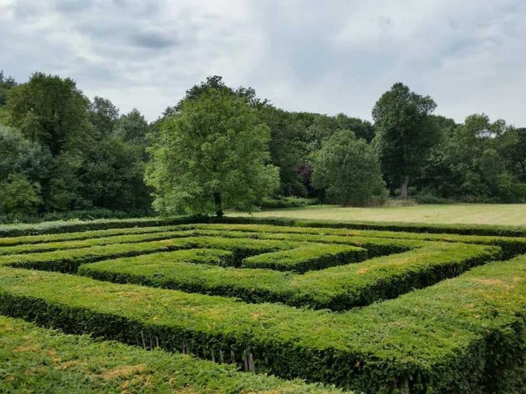 Labyrinth or Maze Dream Meaning
