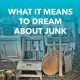 Junk and Junkyard Dream Meaning