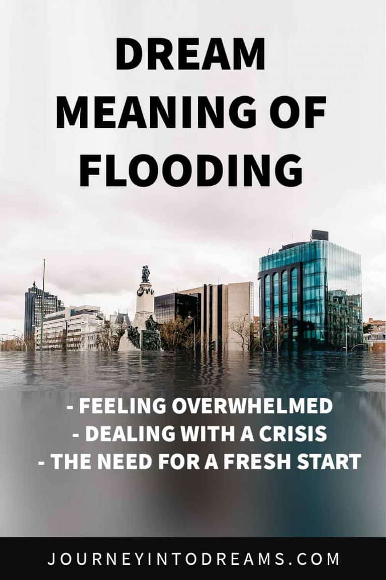 Flood Dream Meaning