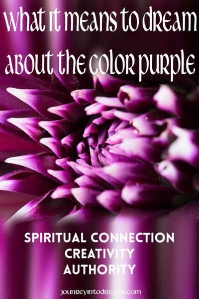 Purple Color Meaning and Symbolism