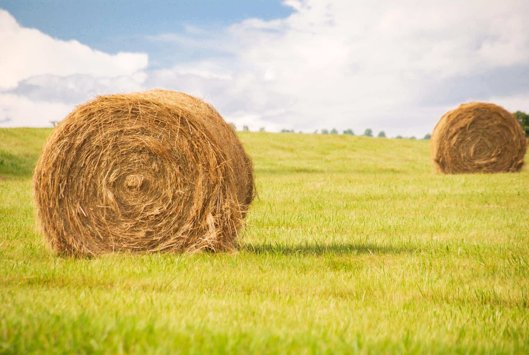 Meaning of Needles in Dreams