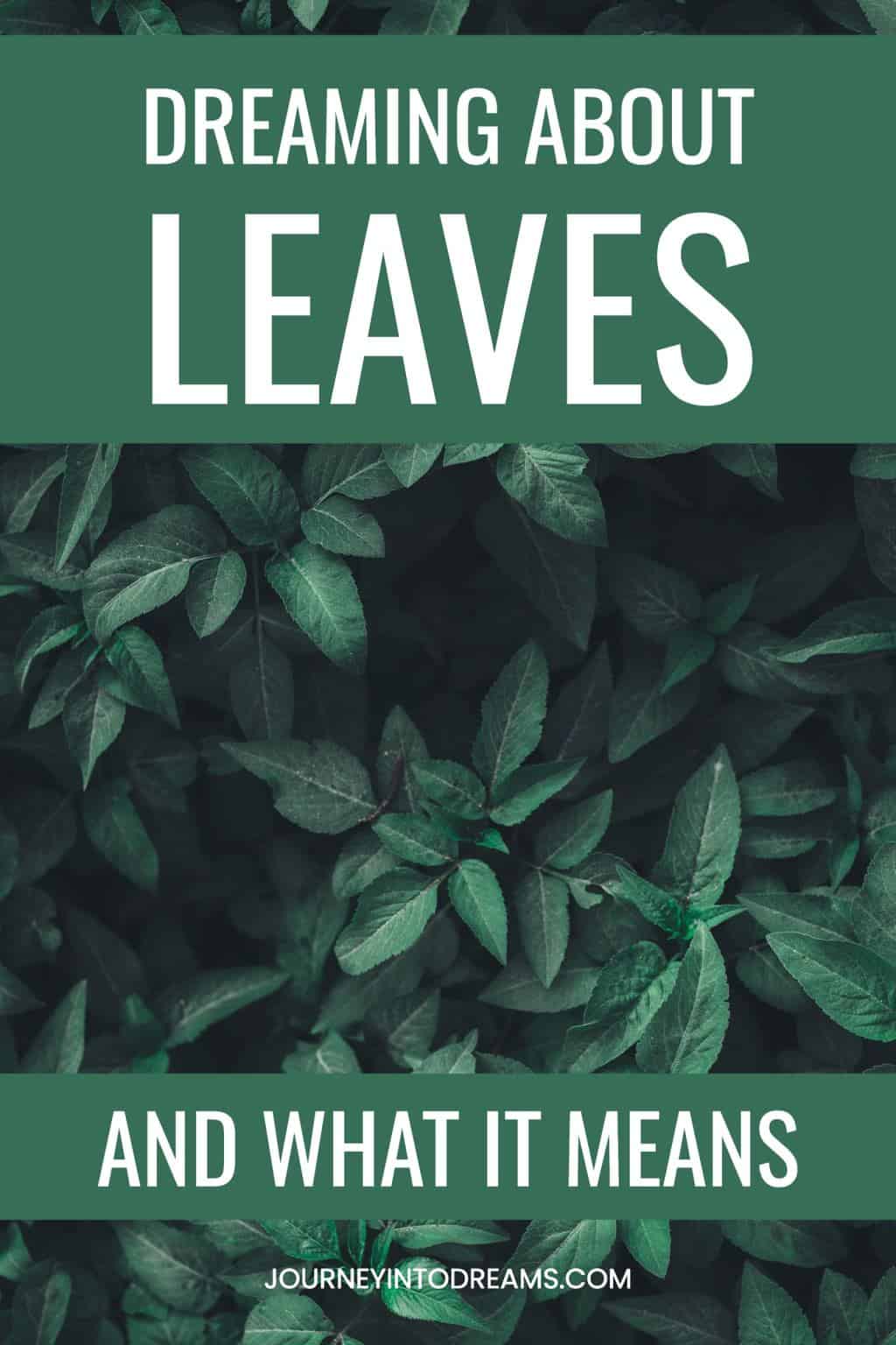Meaning of Leaves in Dreams